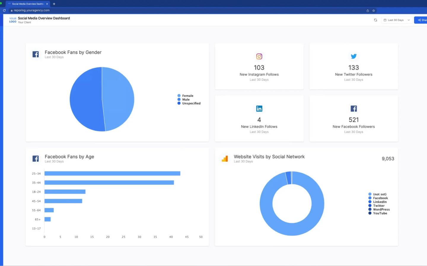 Mastering Website Optimization Reports Mastering Website Optimization Reports